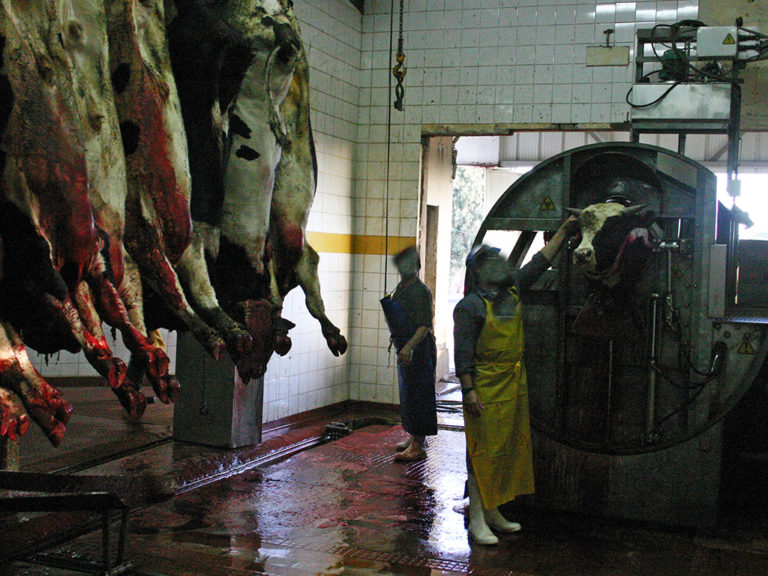 What Are the Most Disgusting Jobs in the History of the World? – Page 6 ...