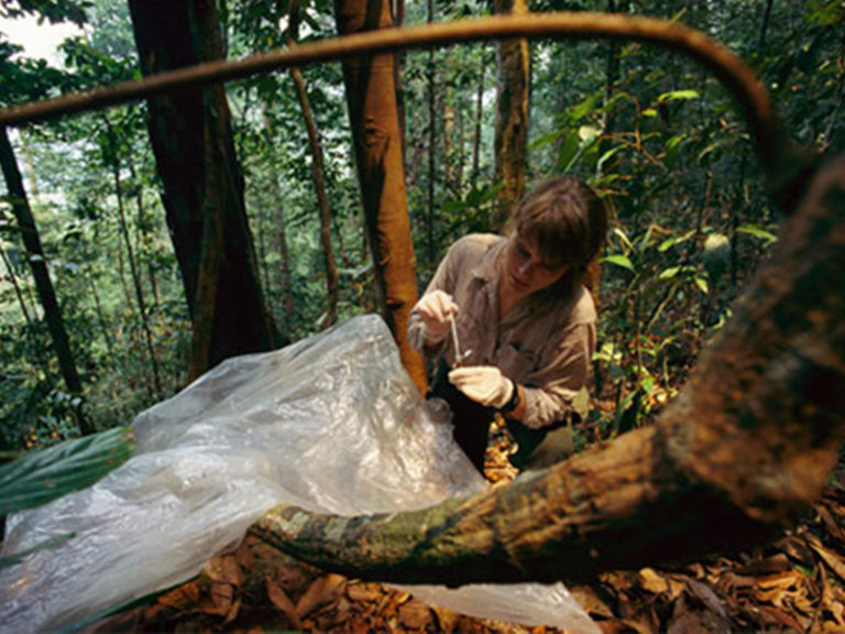 What Are the Most Disgusting Jobs in the History of the World? – Page 7 ...