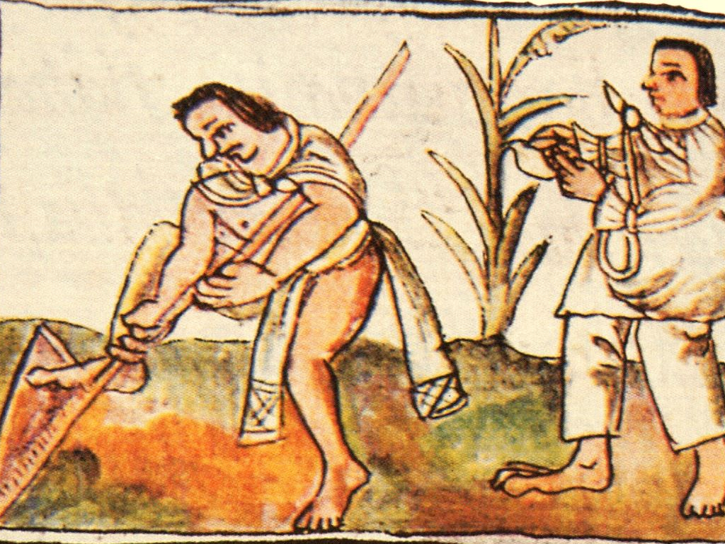 What Made the Aztecs Such Legendary People – Page 20 – Obsev