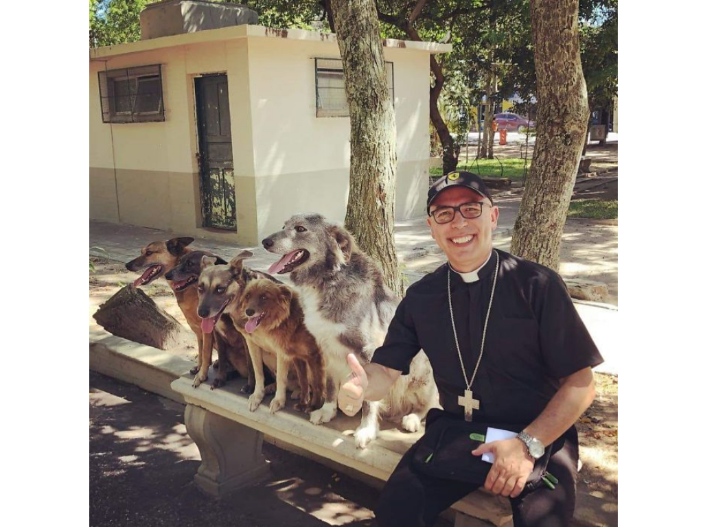 Why Did A Stray Dog Join This Priest On the Altar During Mass? – Page ...