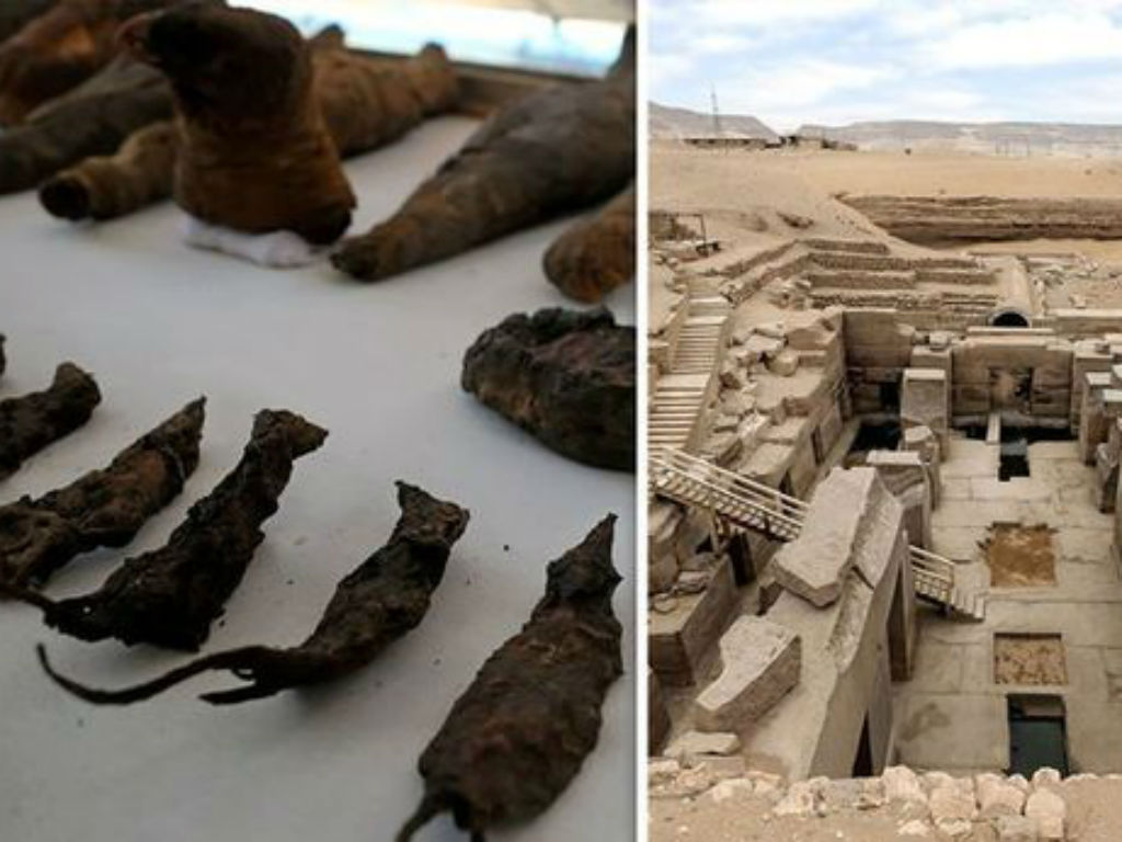 Freaky Facts About Ancient Egyptian Mummification That You Don’t Know ...