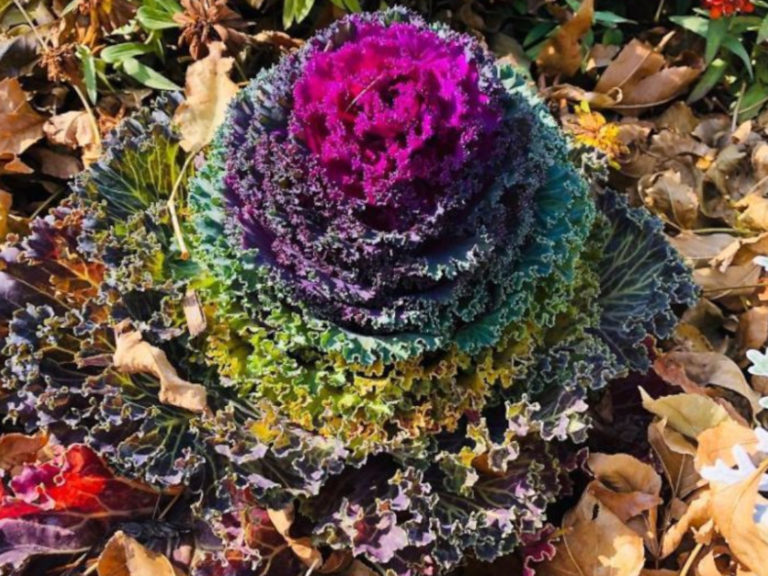 Insane Photos of Wild and Terrifying Weather – Page 34 – Obsev