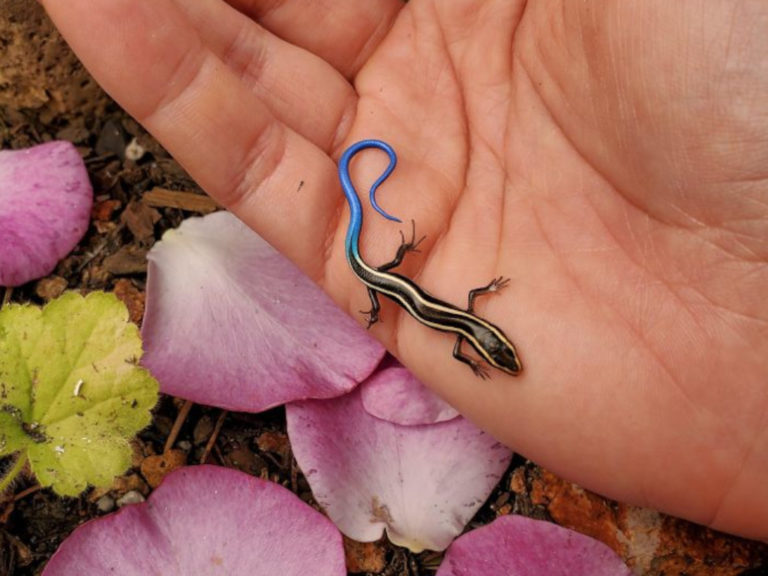 Insane Photos of Wild and Terrifying Weather – Page 38 – Obsev