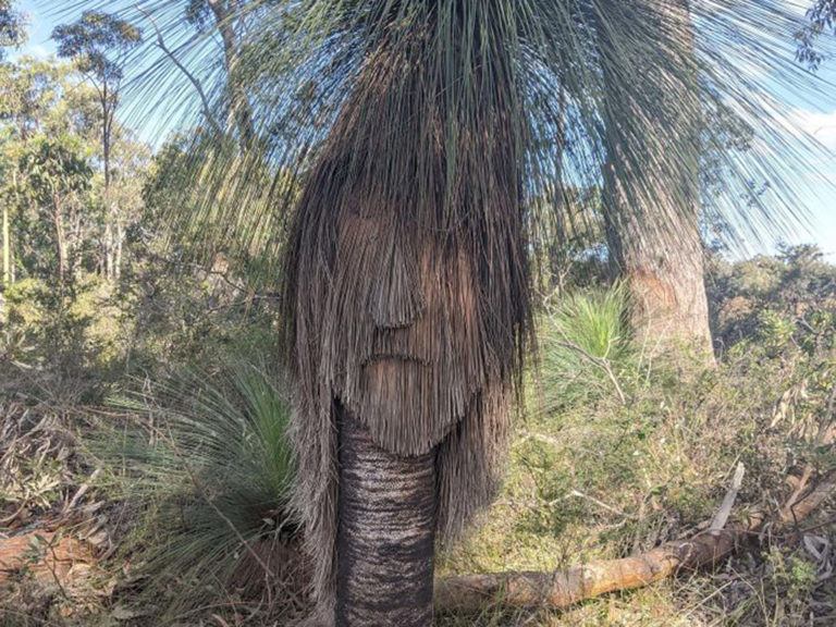 Insane Photos of Wild and Terrifying Weather – Page 62 – Obsev