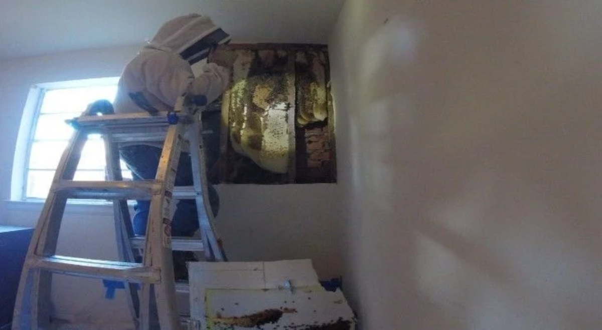 Mom Hears Humming In Shower Then Decides To Demolish Wall – Page 30 – Obsev Mom Hears Humming In Shower Then Decides To Demolish Wall – Page 30 – Obsev