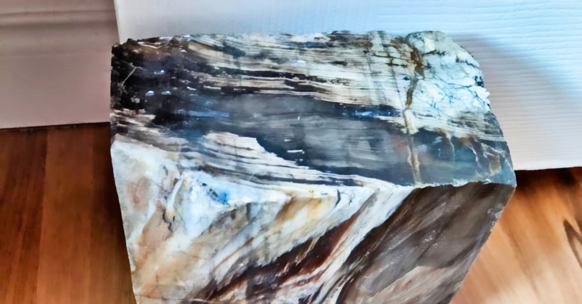 Man Uses Rock As Doorstop Every Day Until Scientist Comes – Page 31 – Obsev