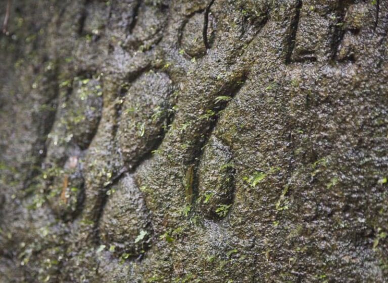 Hikers Stumble Upon Secret Tomb On Mountain, After Witnessing the ...