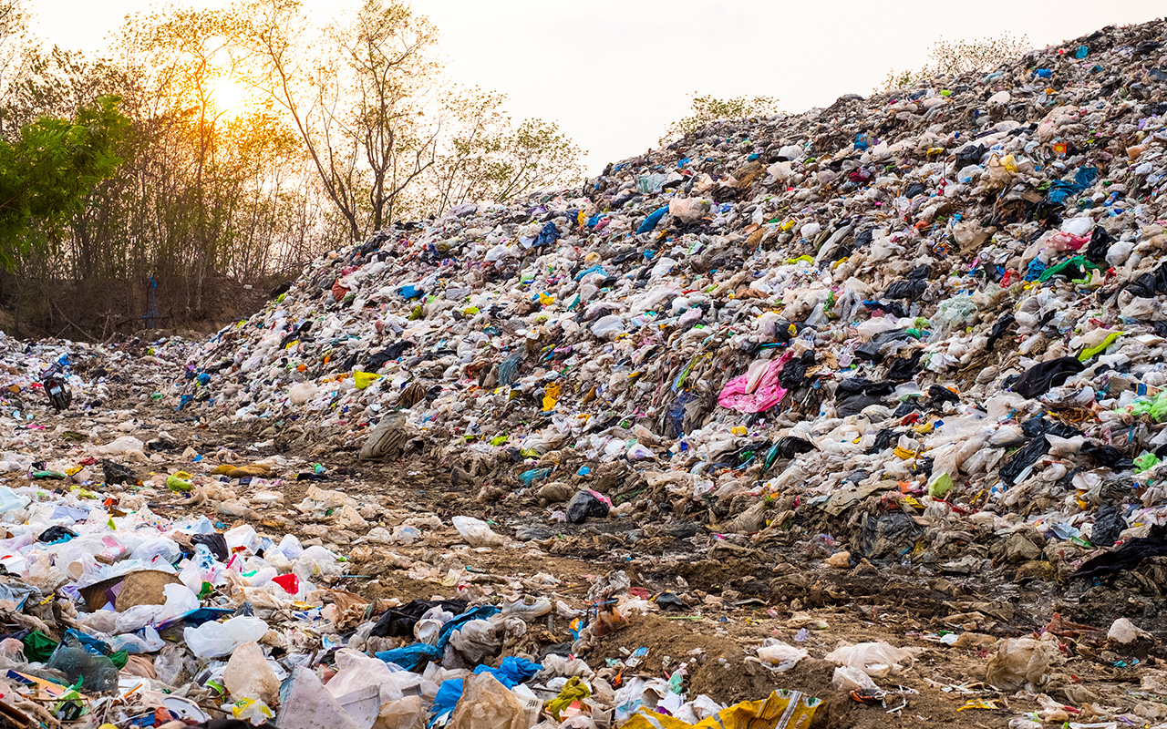What Is a Landfill and How Does it Impact Our Environment? – Obsev